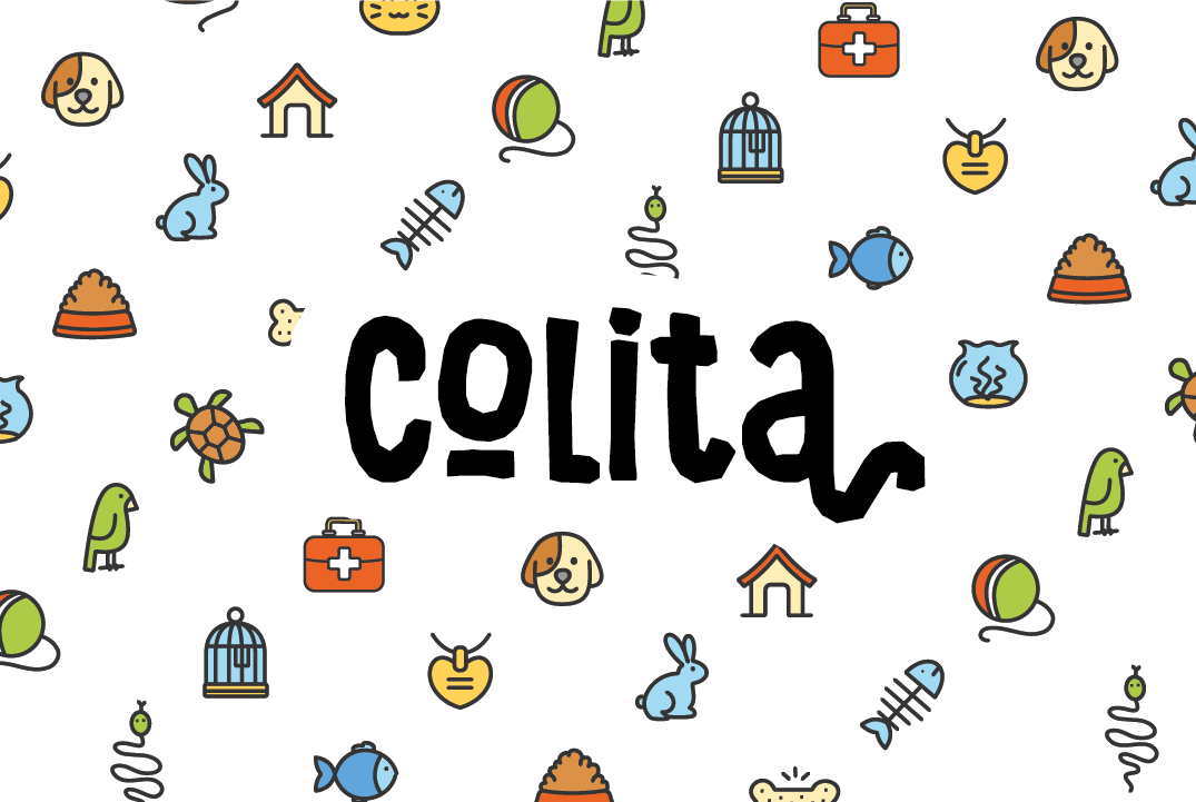 Chow Chow | Colita